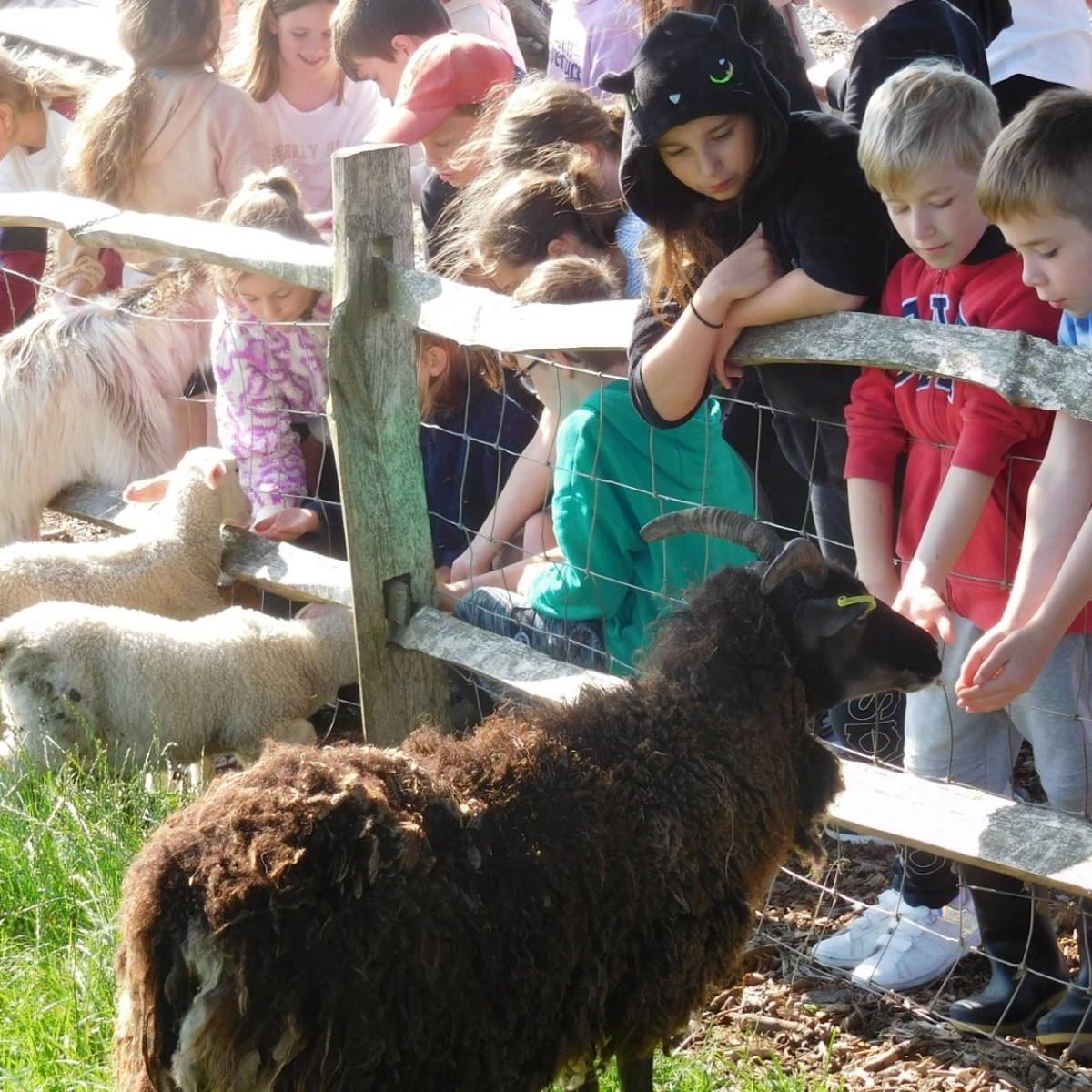Manor Primary School - East Soar